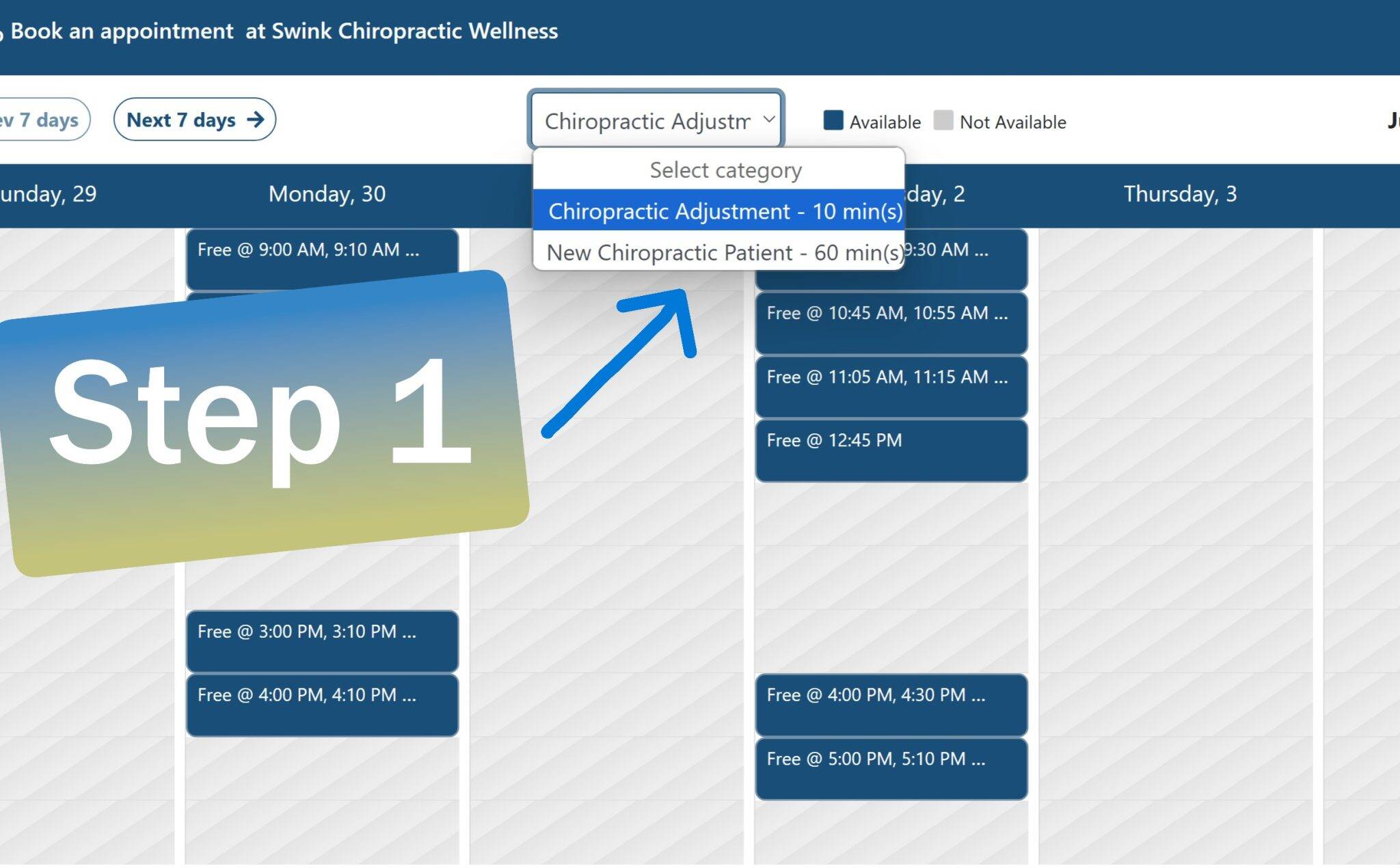 Online Scheduling | Swink Chiropractic